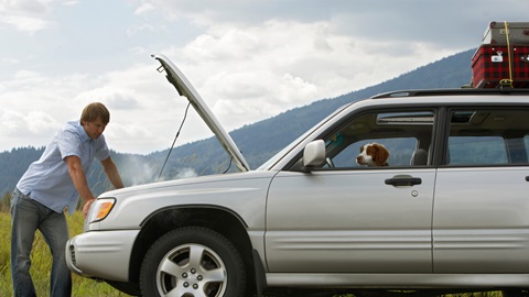 Cómo Actuar En Caso De Atropello Ocu